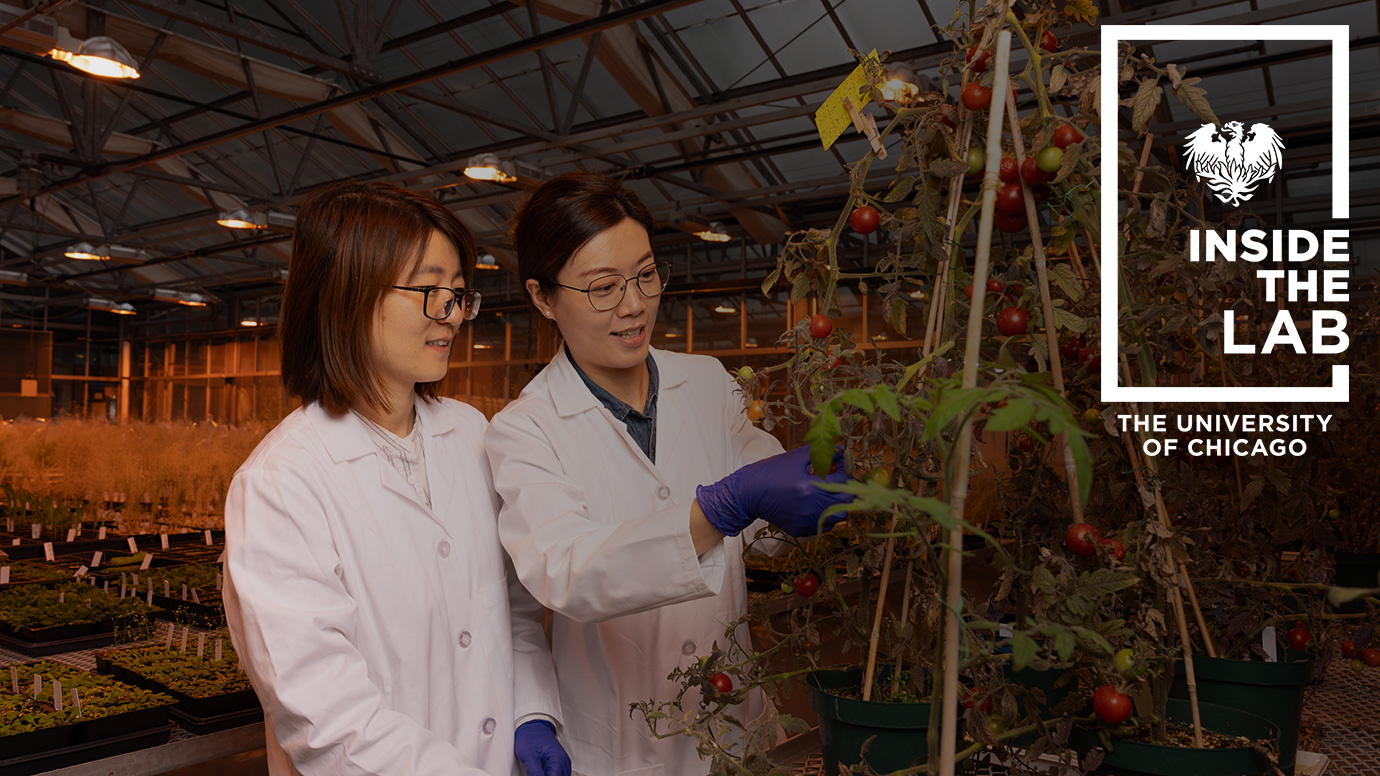 ‘Inside the Lab’ series provides a unique look at UChicago research ...