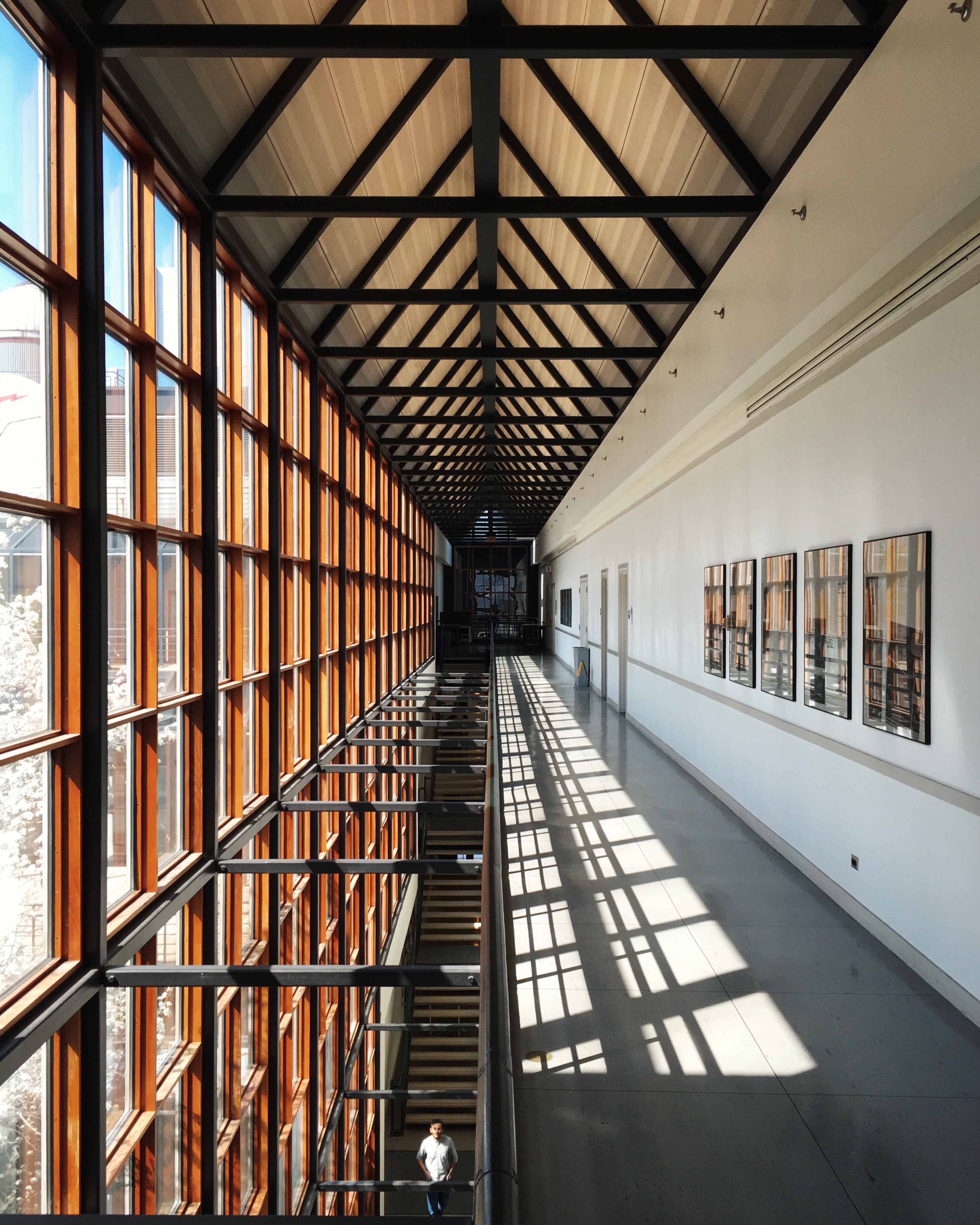 Campus in Spring | UChicago News